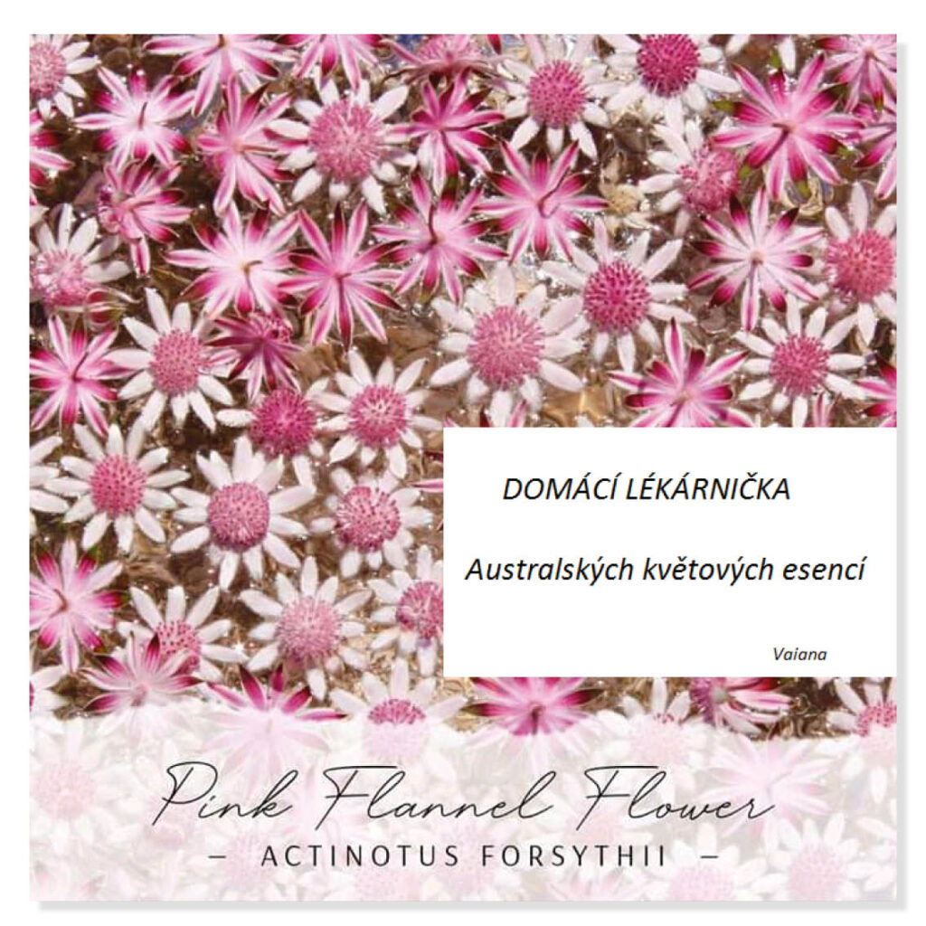 DOMÁCÍ LÉKÁRNIČKA AUSTRALSKÝCH KVĚTOVÝCH ESENCÍ v knižní podobě – Vaiana
